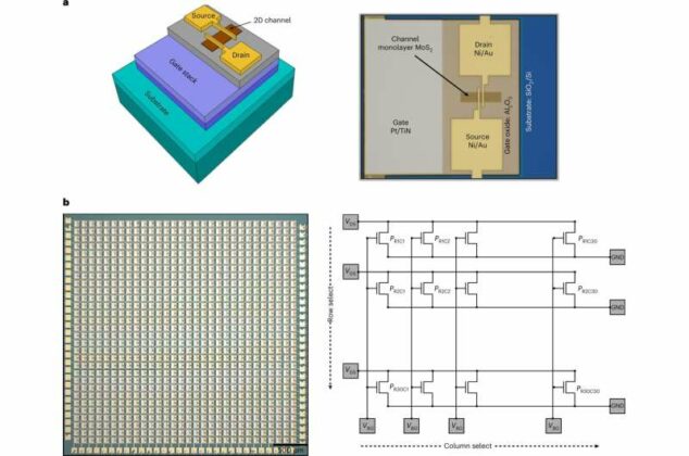 Building A 900-Pixel Imaging Sensor On An Atomically Thin Material