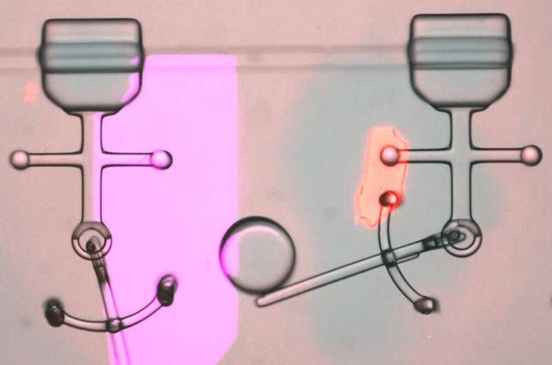 3D Printing Enables Autonomous Functions For Microbots - M.R. ENGINEERING