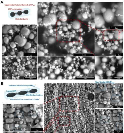 Liquid Metal Enabled Conductive Polymer Network