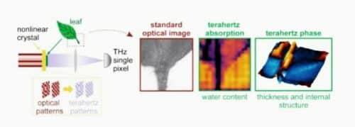 THz Low Cost CAMERA Using Quantum Dots: Tomorrow's Promising Imaging ...