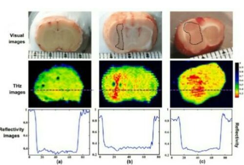 THz Low Cost CAMERA Using Quantum Dots: Tomorrow's Promising Imaging ...