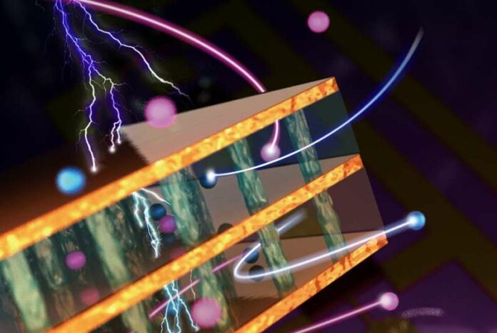 Vertical Electrochemical Transistors Suitable For Bioelectronics
