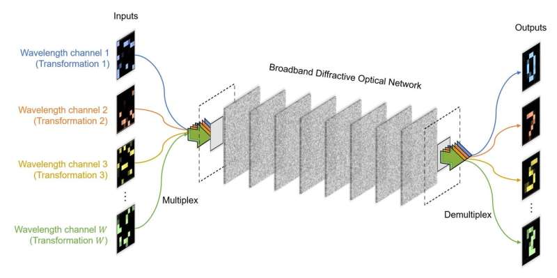 Wavelength Multiplexed Diffractive Optical Processor