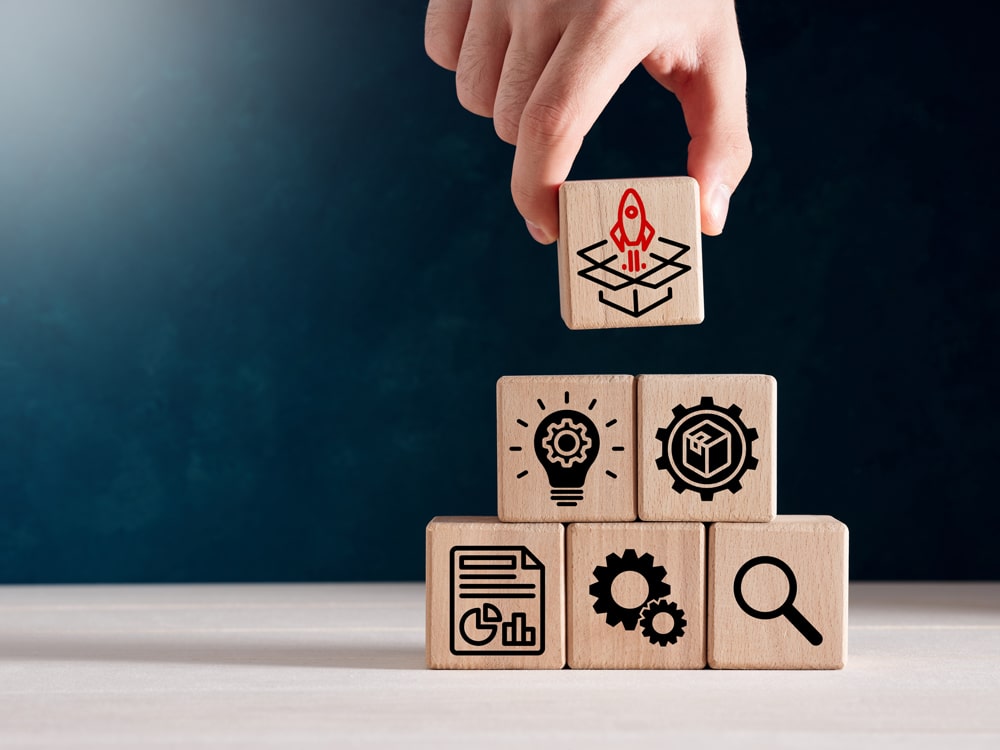 Define Minimum Viable Product and Product Ecosystem