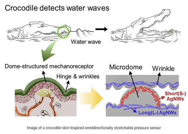 Stretchable-Electronic Skin Inspired By Crocodile