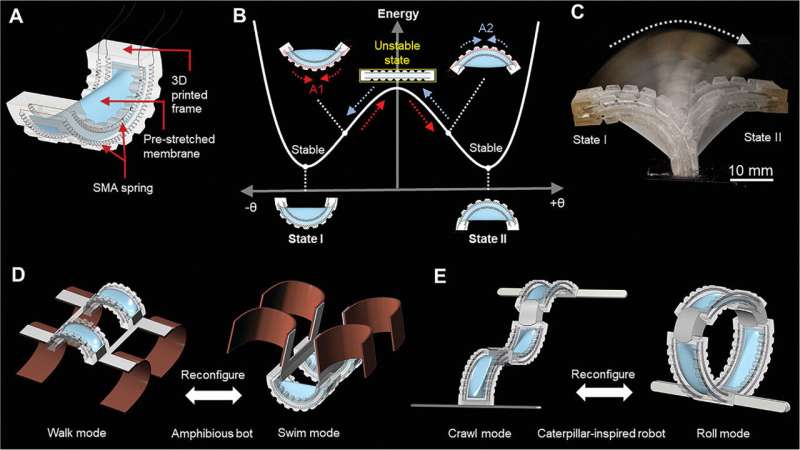 ShapeShifting Soft Robots For Land And Sea