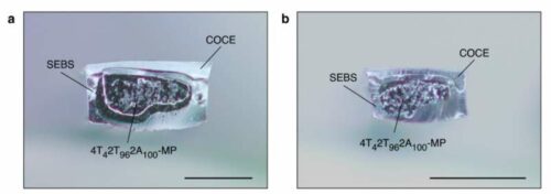 Fibre-Based Magnetic Soft Robots