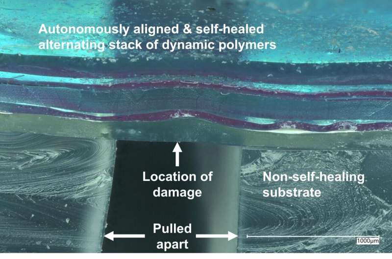Self-Healing Electronic Skin Heals Automatically After Cutting