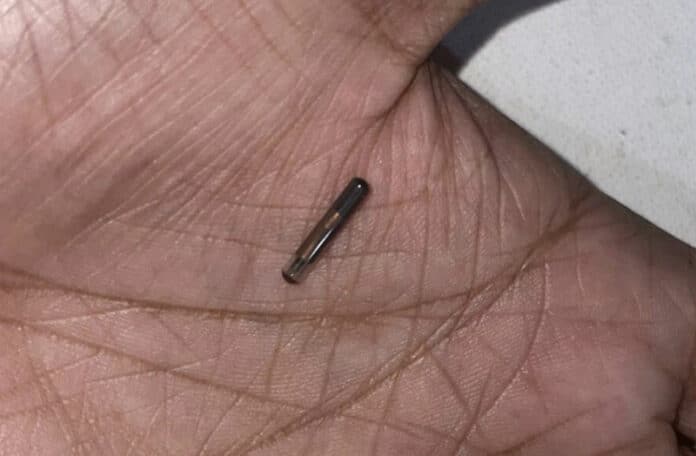 Implantable RFID Chip for Animal Identification | Full Guide