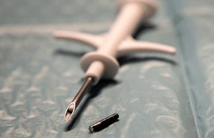 Implantable RFID Chip for Animal Identification | Full Guide