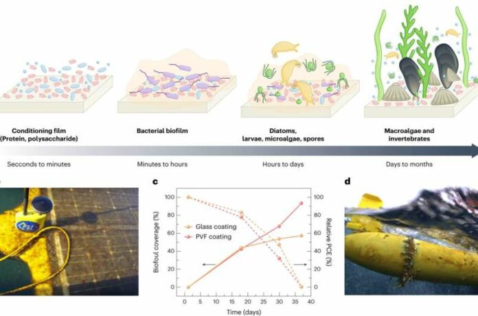Can Solar-Powered Underwater Vehicles Enhance Ocean Exploration?