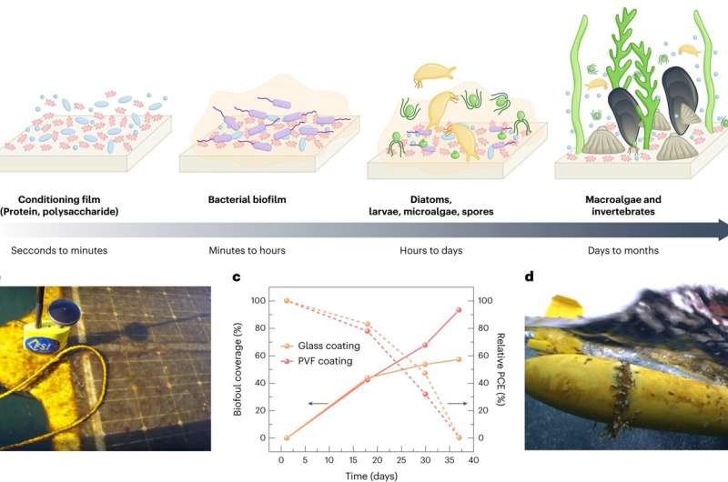 Can Solar-Powered Underwater Vehicles Enhance Ocean Exploration?