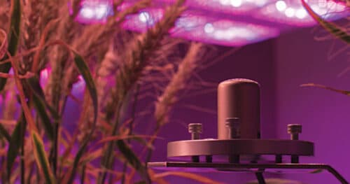 The Working And Applications Of PAR Quantum Sensors