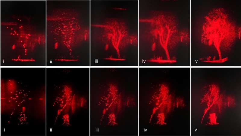 Real-Time Road Alerts with 360-Degree Display