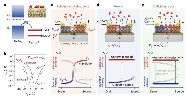 Reconfigurable Device With Diodes Memories Logic Gates And Artificial Synapses Modes