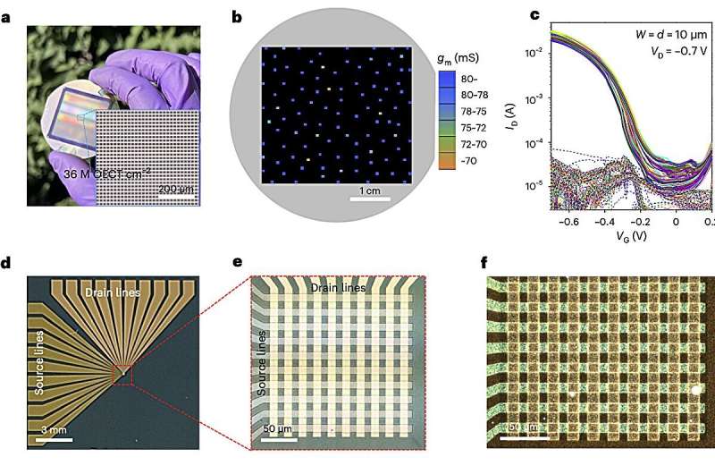 High Density Vertical Organic Electrochemical Transistor Arrays