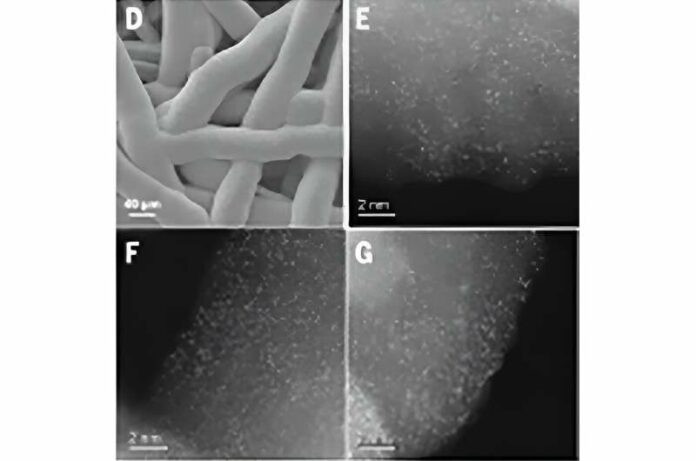 Catalyst Slashes Iridium Use by 95% In Hydrogen Production