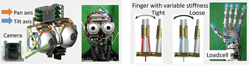 Can Humanoid Robot Take Driver's Seat?