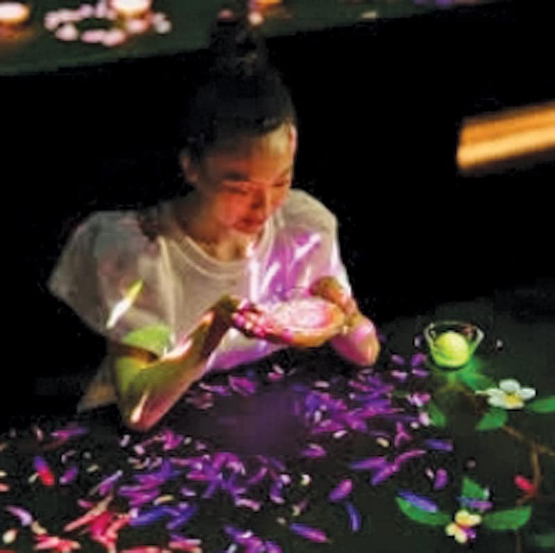 Exploring The World Of Digital Technology At The Digital Art Museum