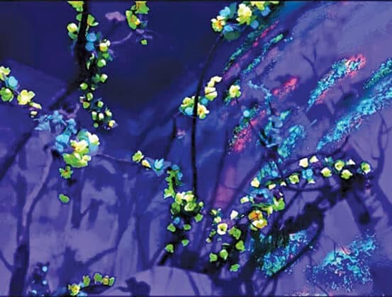 Exploring The World Of Digital Technology At The Digital Art Museum