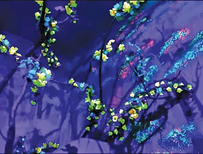 Exploring The World Of Digital Technology At The Digital Art Museum