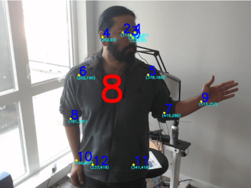 Proxy: AI-Powered Gesture-Controlled Robot for Video Calls