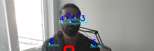 Proxy: AI-Powered Gesture-Controlled Robot for Video Calls