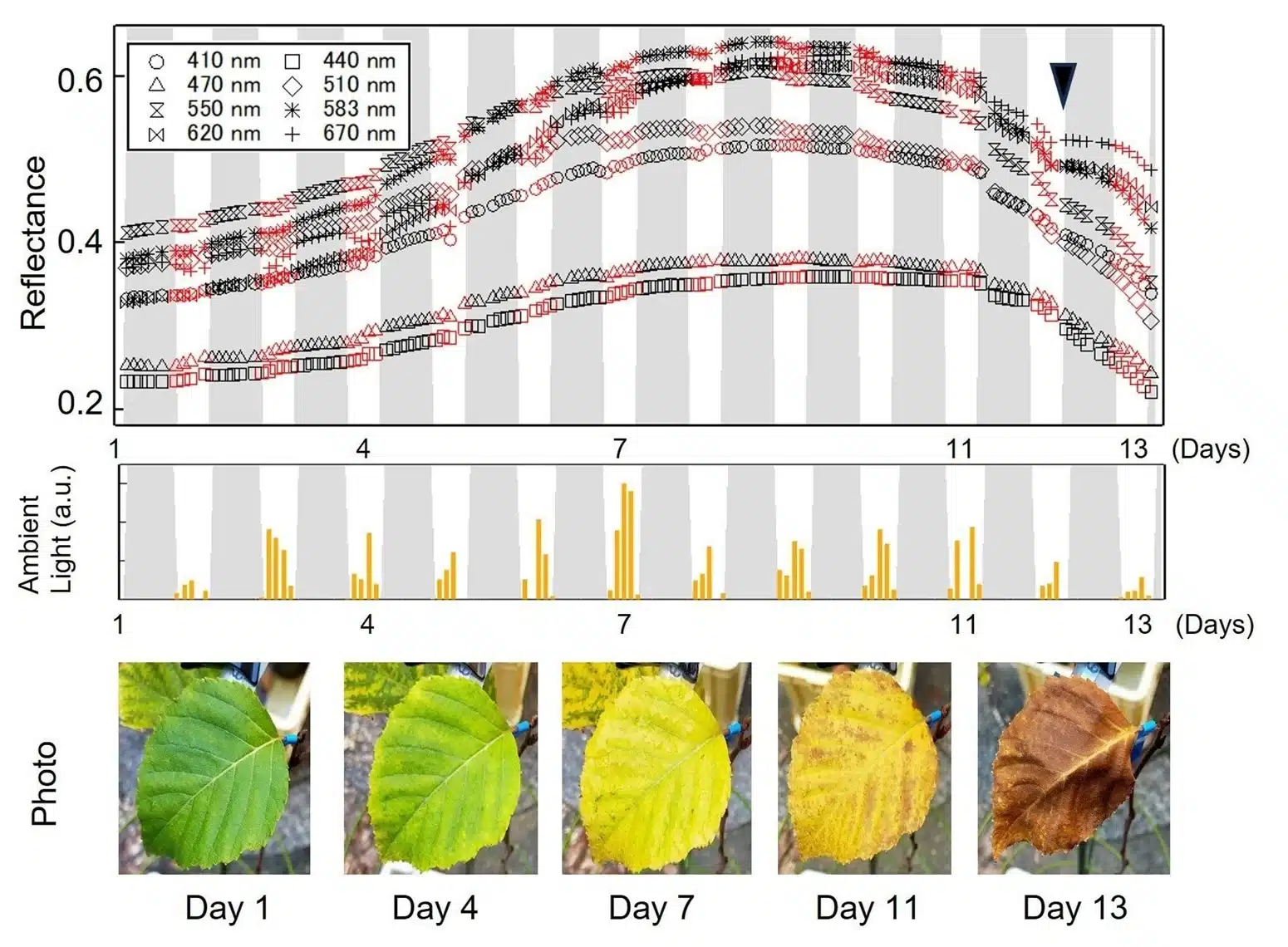 Leaf Sensor Monitors Plant Health