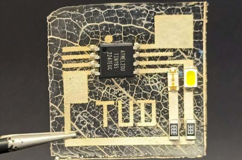 Sustainable Leaf-Inspired Electronic Components