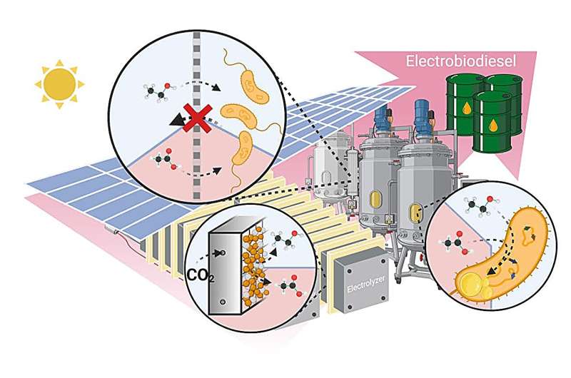 Biofuel Offers Cleaner, More Efficient Alternative