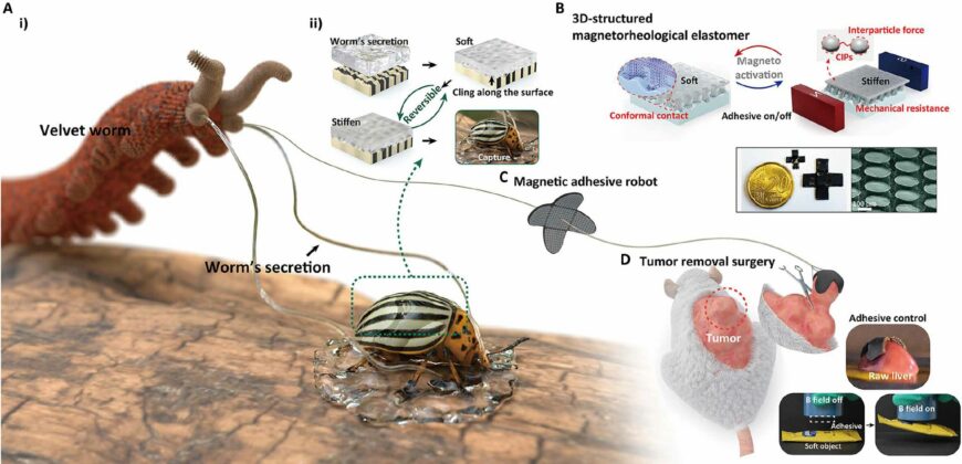 Soft Robotics Advancing Delicate And Hard Tasks - Electronics For You