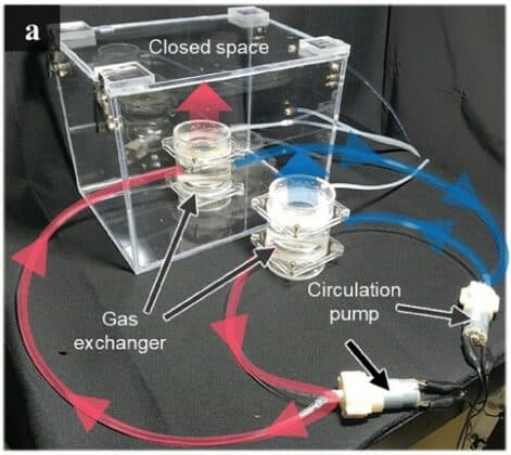 Microbubble System Mimics Lungs For Cleaner Air