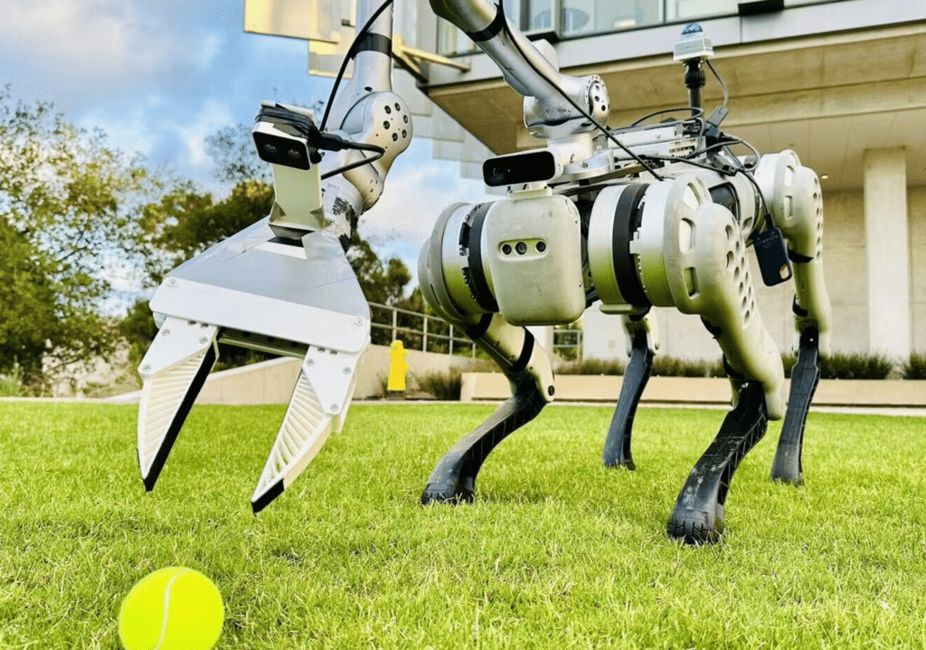 Robot Framework For Learning And Task Execution