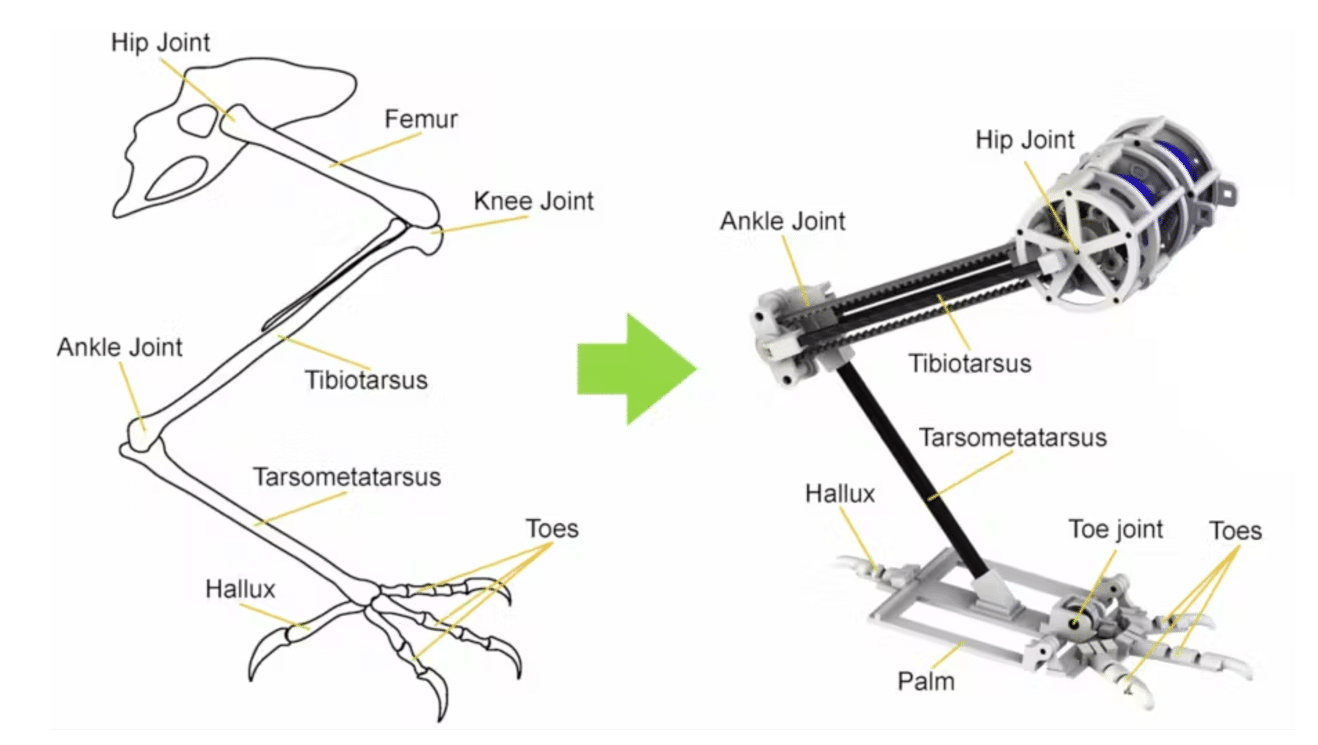 Drone Mobility With Nature-Inspired Design - Electronics For You ...