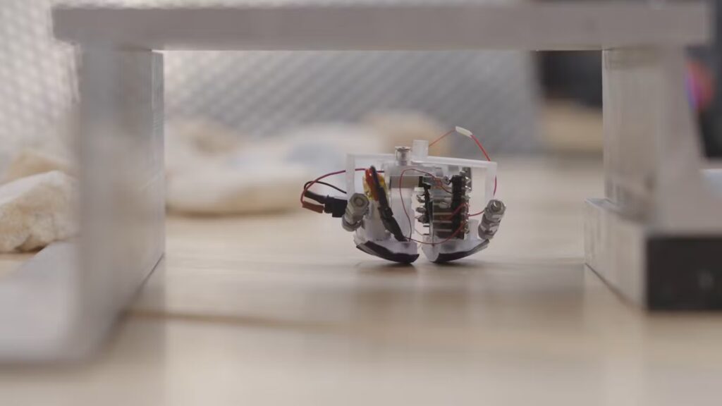 Tiny Robots For Hard-To-Reach Places - Electronics For You