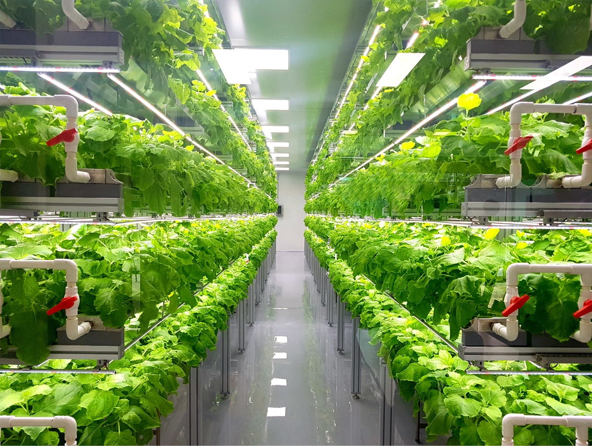 Precision Agriculture and Clean Tech: How Farmers Can Increase Yields ...
