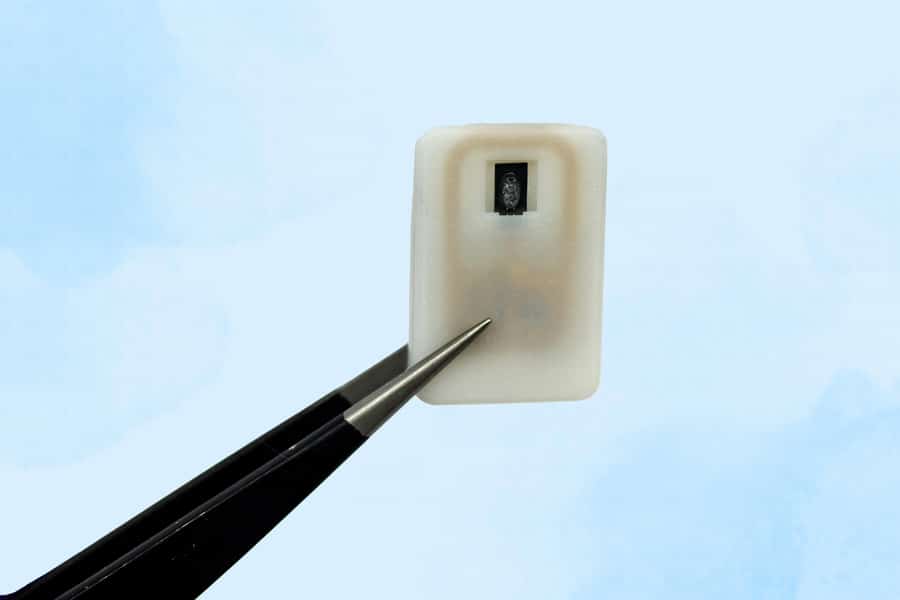 Implantable Device Could Save Diabetes Patients