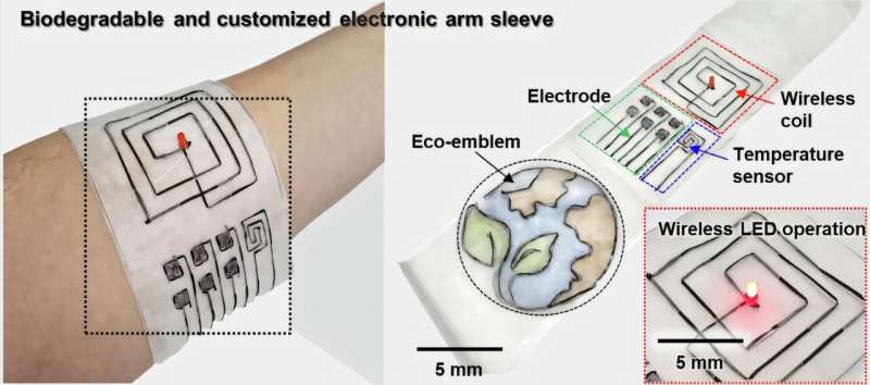 Biodegradable Fiber Electronics Offer Solution To E-Waste