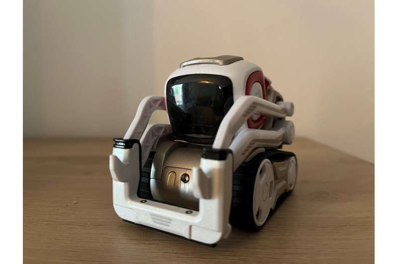 Playing With Robots Makes Them Feel More Human