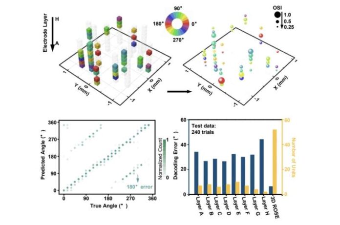 Soft Electronics Redefine Brain Probes