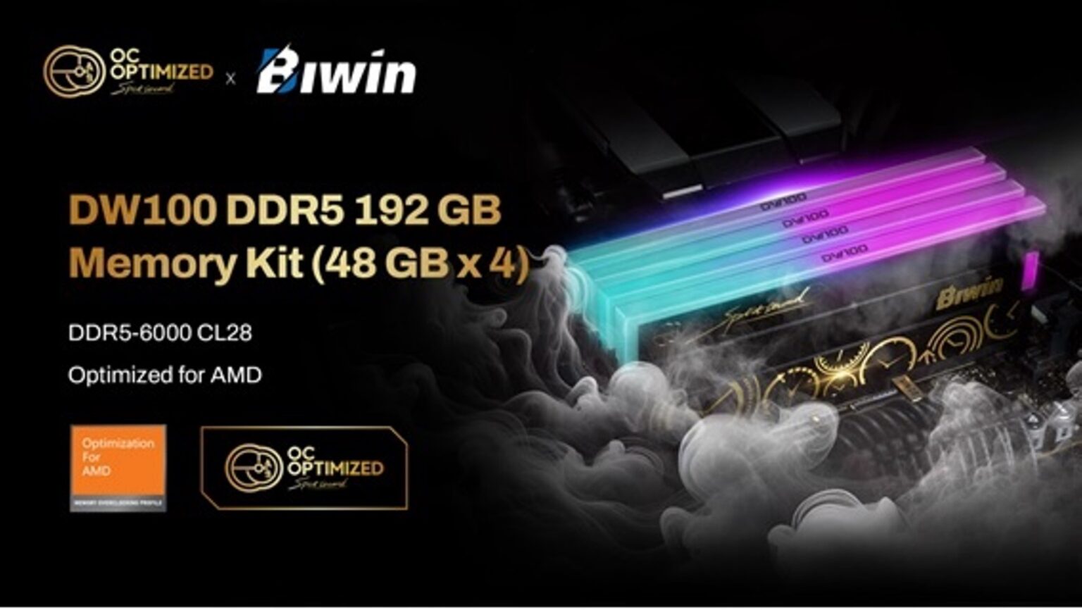 DW100 DDR5 192 GB Memory Kit For AI And LLMs