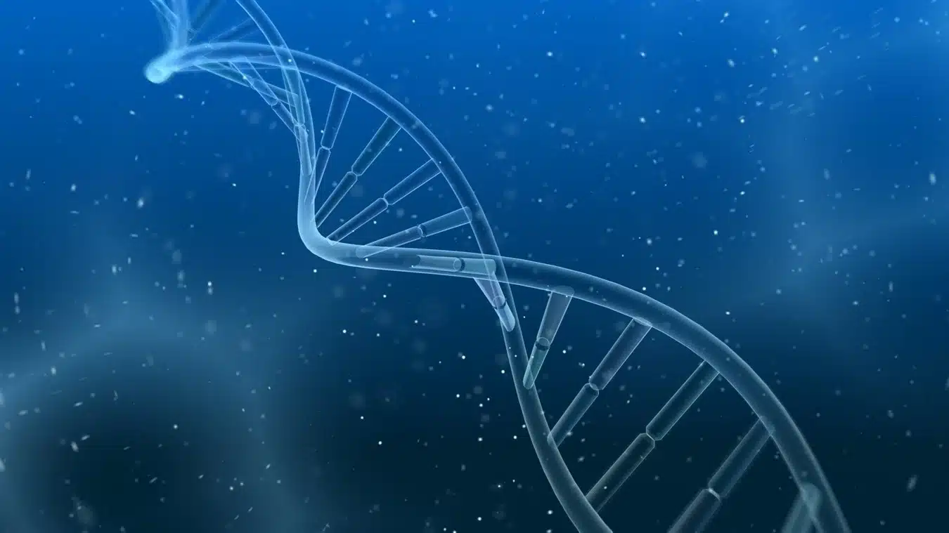 Tracking DNA Repair In Real Time