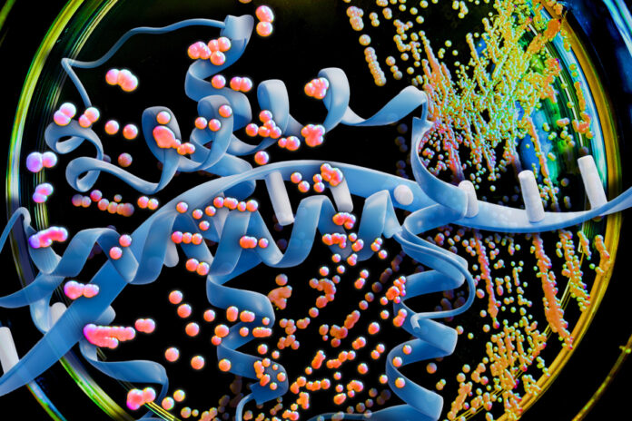 AI Chips Optimize Yeast Protein Coding - Electronics For You – Official ...