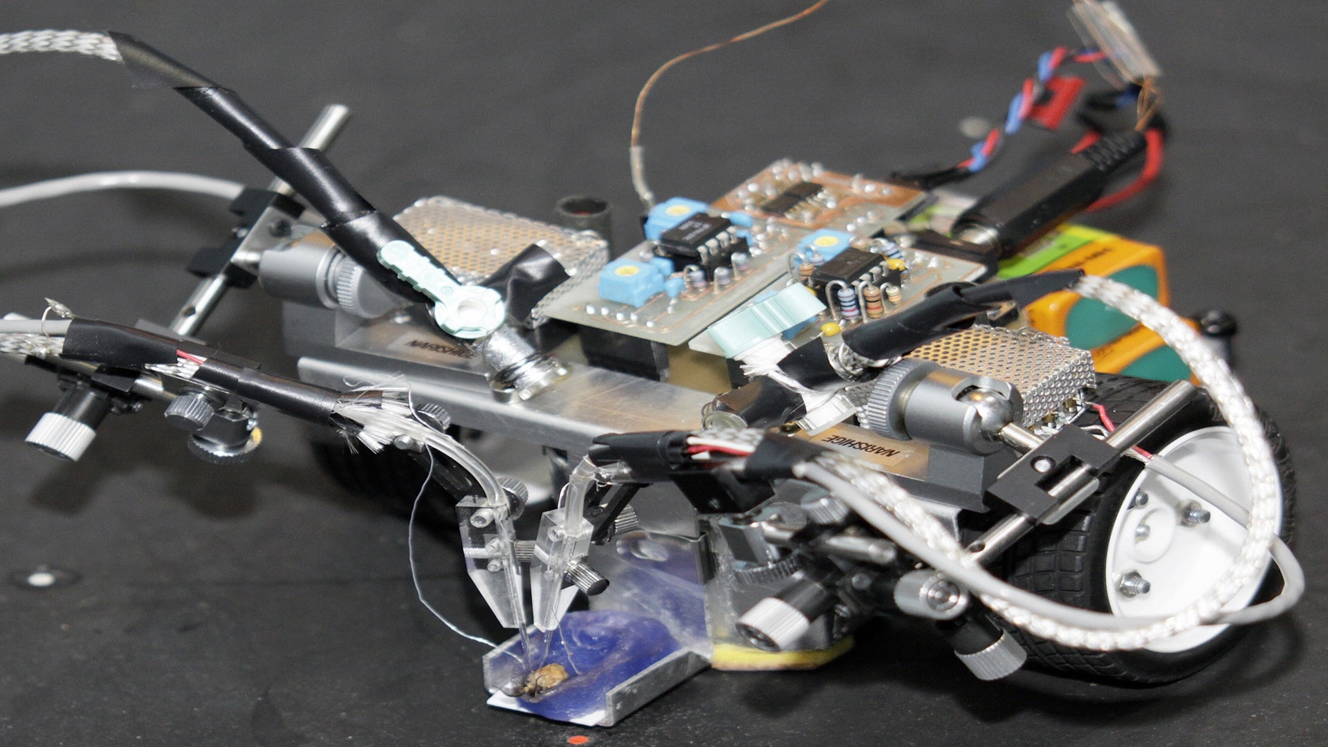 Smell Tracking Robot Works with One Sensor - Electronics For You ...