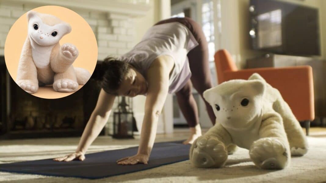 Robots Designed for Human Interaction - Electronics For You – Official ...