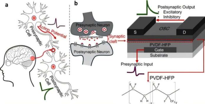 Brain-Like Chips Could Save Energy for AI - Electronics For You ...
