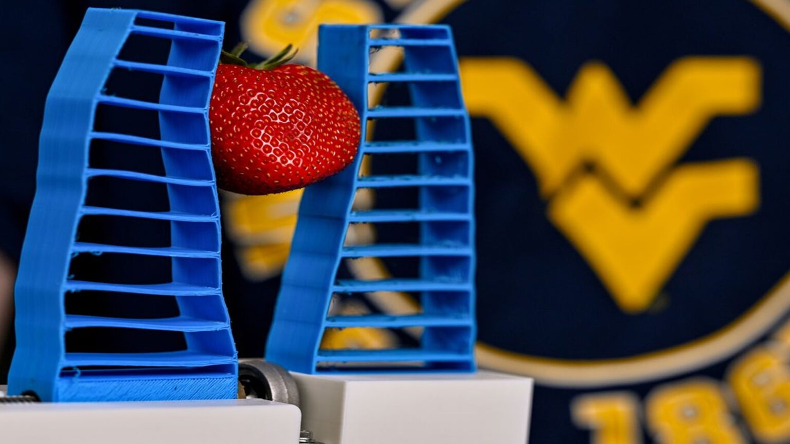 Soft robot picks fruit without damage - Electronics For You